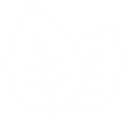 Shop Fiit Marine Flavor - lil SOLID introduced by IQOS | IQOS