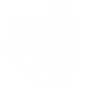 Shop Fiit Regular Deep Flavor - lil SOLID Introduced by IQOS | IQOS